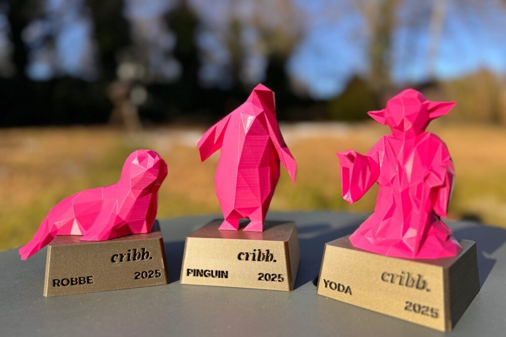 Eiskalte Tradition: Das Cribb Neujahrsschwimmen 2025 - Dwight Cribb ...